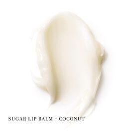 Sugar Lip Balm von FRESH ≡ SEPHORA