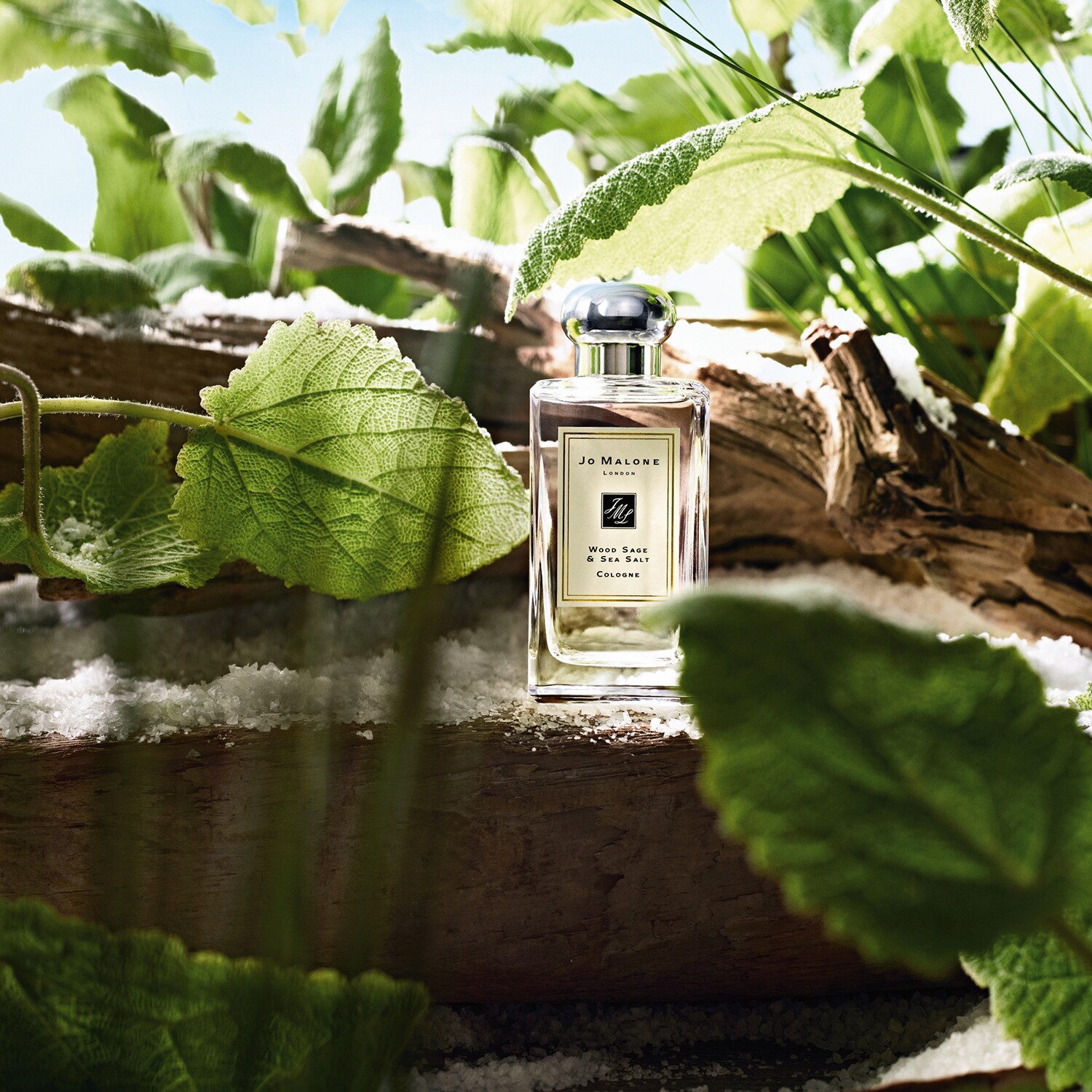 Wood Sage & Sea Salt - Cologne von JO MALONE LONDON ≡ SEPHORA